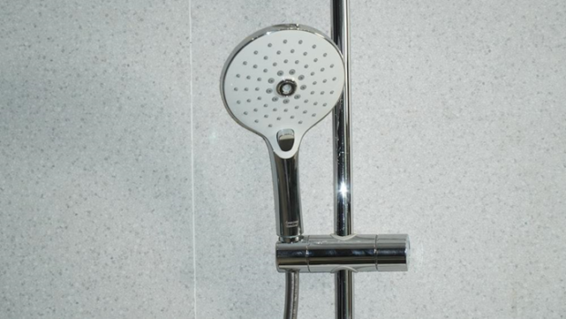 Shower Head Options for a Quick Bathroom Upgrade - My Interior Palace